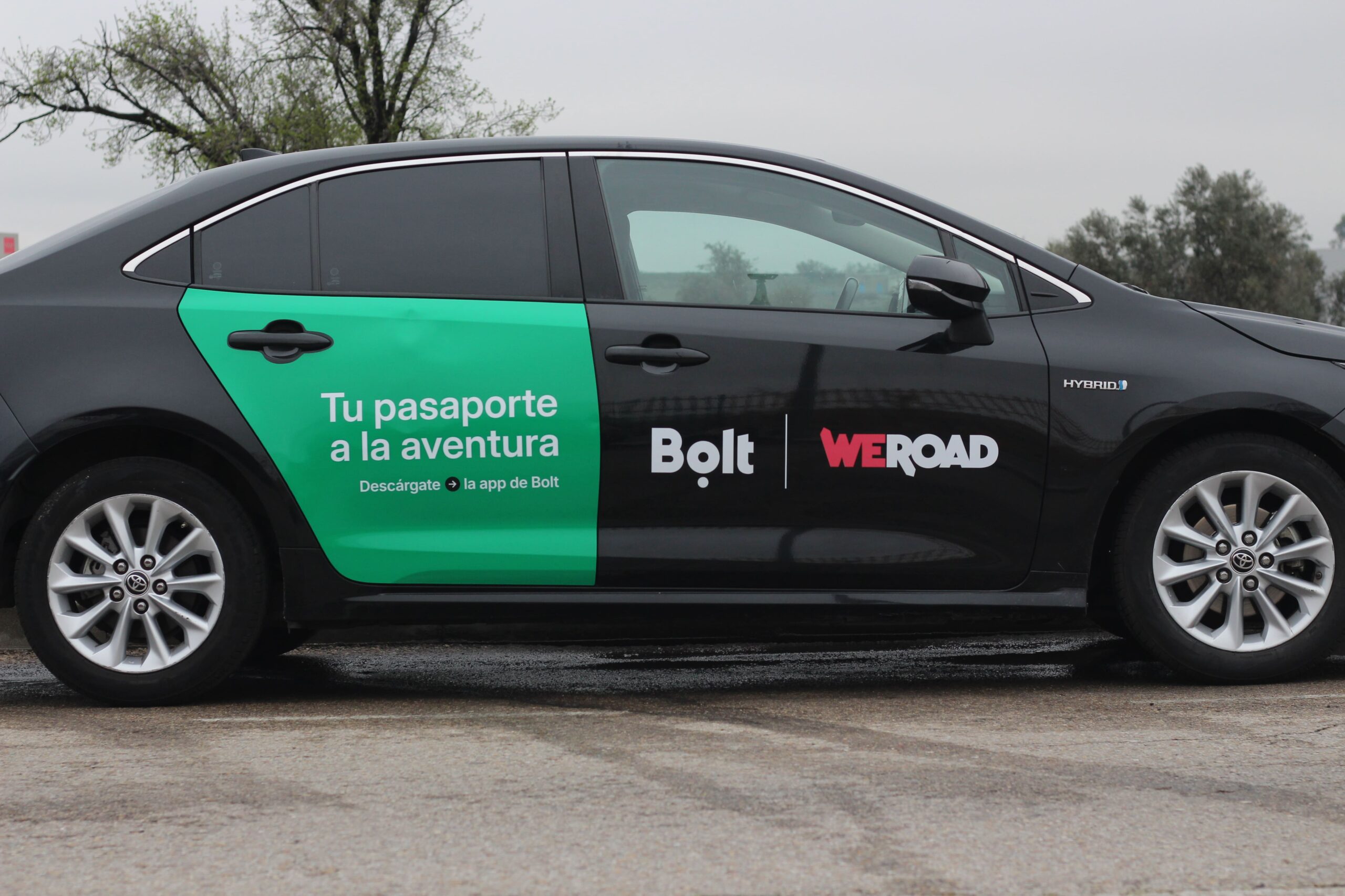 WeRoad y Bolt unen fuerzas para llevar a viajeros millennials a su ...